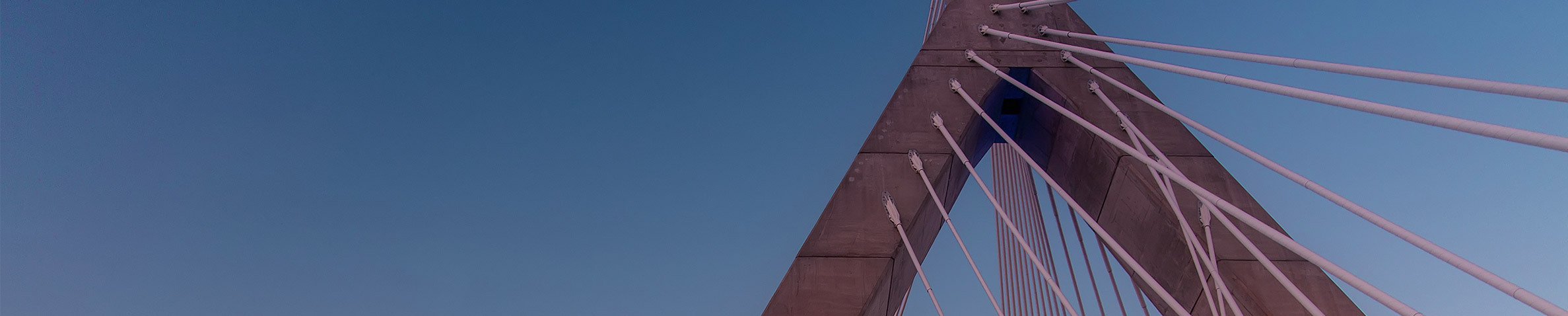 Professional Staff at Nutter Law Firm: Nutter McClennen & Fish Law Firm